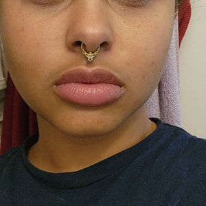 16G Star Septum Jewelry/septum Ring/daith Jewelry/helix Hoop - Etsy