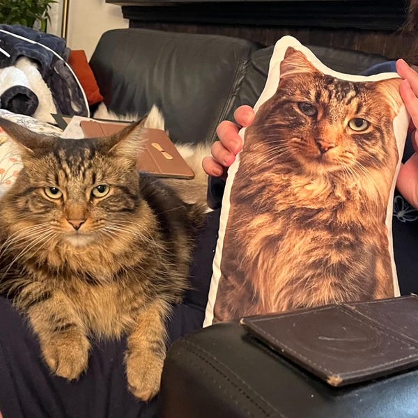 Custom Cat-shaped Throw Pillow, Personalized Cat Cushion, Custom Pet ...