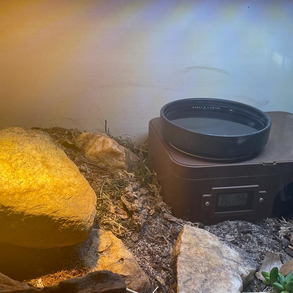 Reptile Humid Hide With Thermometer/hygrometer - Etsy