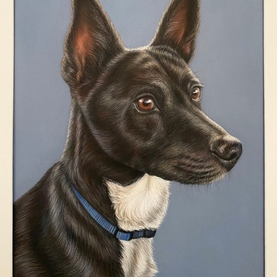 Cockapoo Watercolour Painting Original Hand Painted Framed Pet Art - Etsy