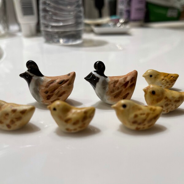 Tiny Ceramic Quail Family Miniature Birds - Etsy