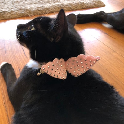 Angel Cat Collar/ Angel Wing Cat Costume''whitecolor - Etsy