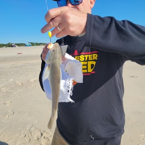 3 Pack '1' Pompano Rig Beach/pier/surf Fishing Rigs - Etsy