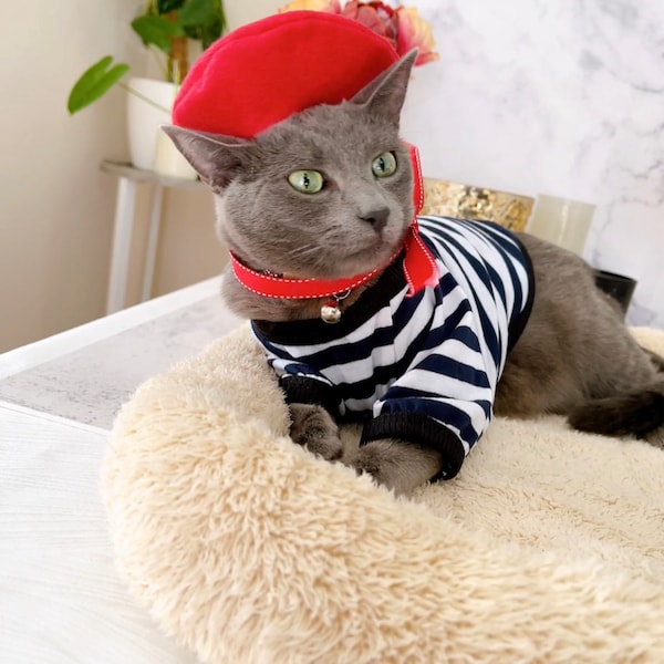 Complete French Cat Outfit- Cat Beret, Ascot and Striped Shirt Pet ...