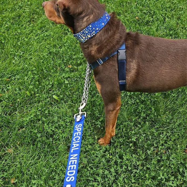 Custom Leash Wrap, Double Sided Warning Sign,durable Dog Leash Sleeve ...