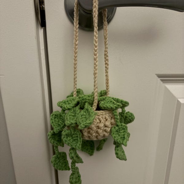 Tiny Pothos Crochet Pattern Bundle Pothos Jade, Monstera and String of ...