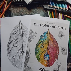 Book of Fairies: Whimsical Coloring Book, Fantasy Coloring Page ...