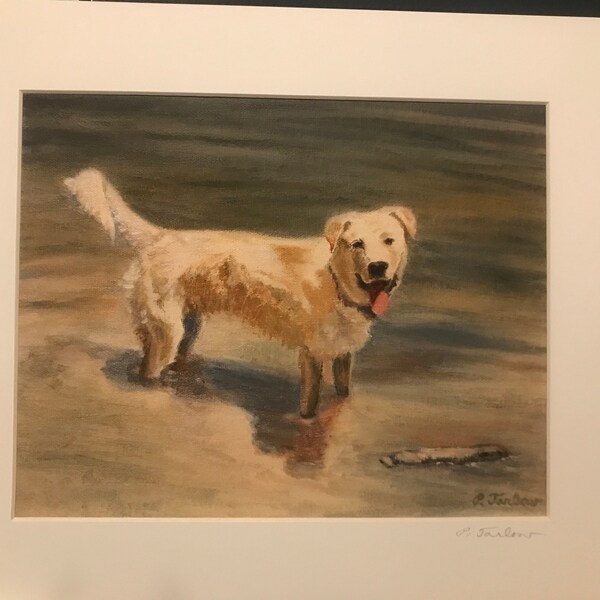 Yellow Labrador Retriever Art Print, Yellow Lab on Rocks Art, Yellow ...