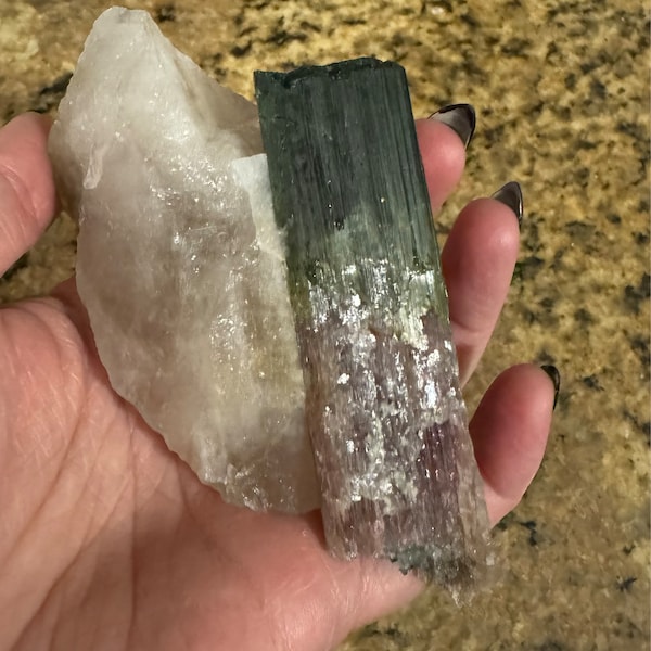 Cathedral Quartz Crystal: Alligator Quartz Matrix With Green Tourmaline ...