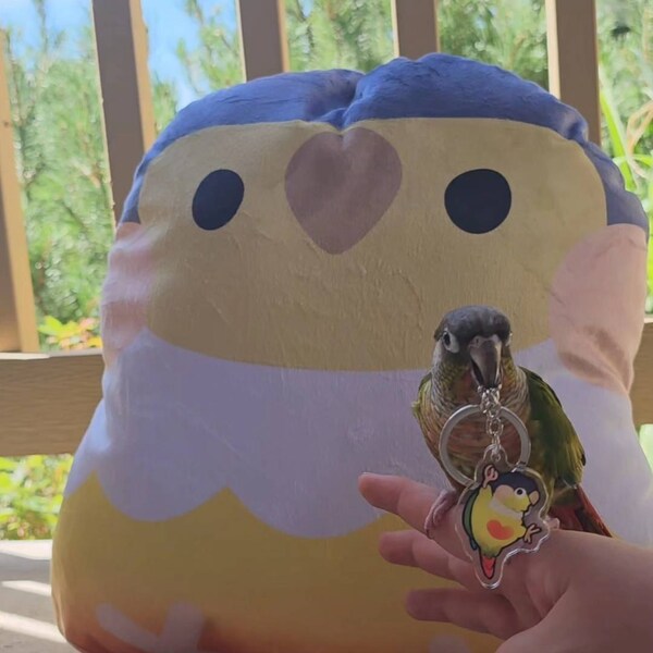 Birb Seat Pillow Case (**stuffing is Not Included, You Need to Get ...