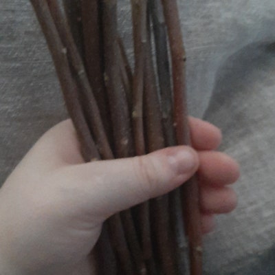 Organic Apple Wood Sticks - Etsy