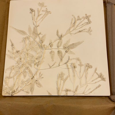 Relief Flower Tile, Primrose Botanical Cast, Plaster Cast Tile - Etsy