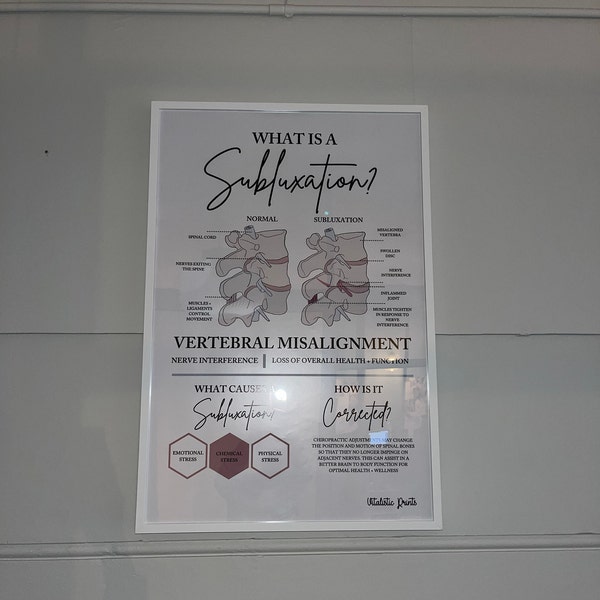 The 4 Stages of Degeneration Print // Spinal Nerve Chart ...