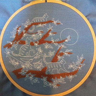 Raccoon Digital Hand Embroidery Pattern With Online Video Tutorial, DIY ...