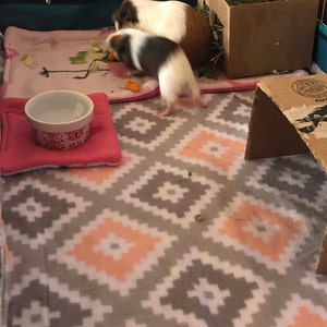 South Park Craig Hat | Etsy