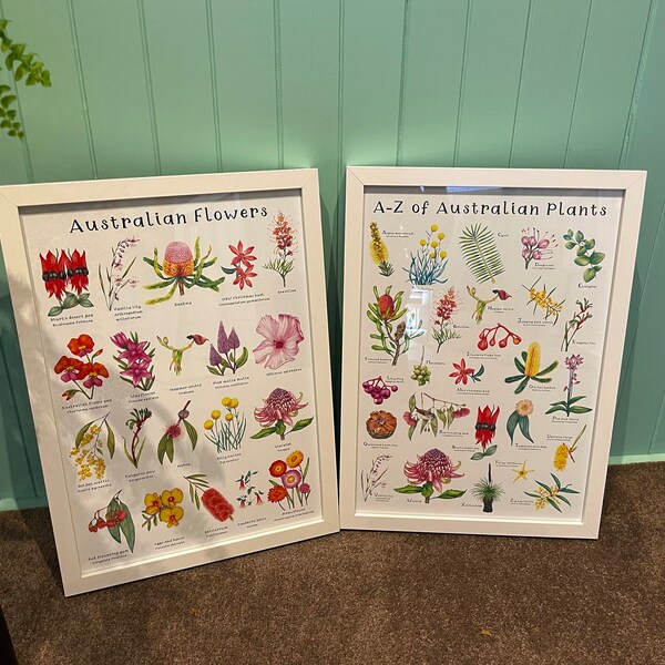 Australian Native Seed Pod Poster DIGITAL DOWNLOAD - Etsy