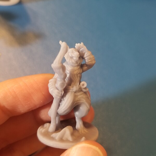 Catfolk Druid | 3D Printed Resin Tabaxi | Great for Dungeons and ...