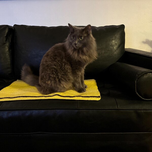 Crochet Afghan-granny Square Afghan-blanket-multicolor Throw-fuchsia ...