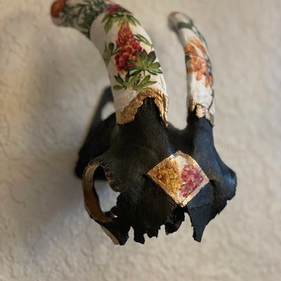 Bones Mystery Box , Curiosity Mystery Box , Vulture Culture Oddity Box ...