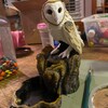 Barn Owl Dice Tower Dice Roller +FREE DICE SET Tabletop Game Dnd Forest ...