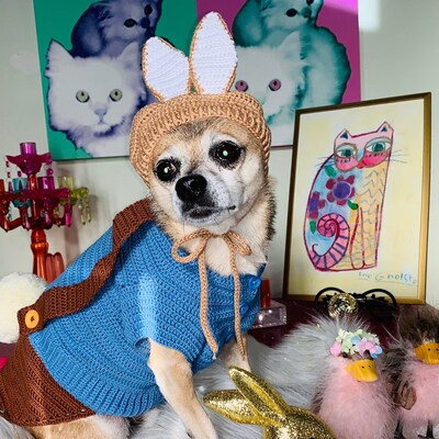 Rabbit Pet Costume, Bunny Rabbit Dog Costume Crochet, Bunny Dog Hat ...