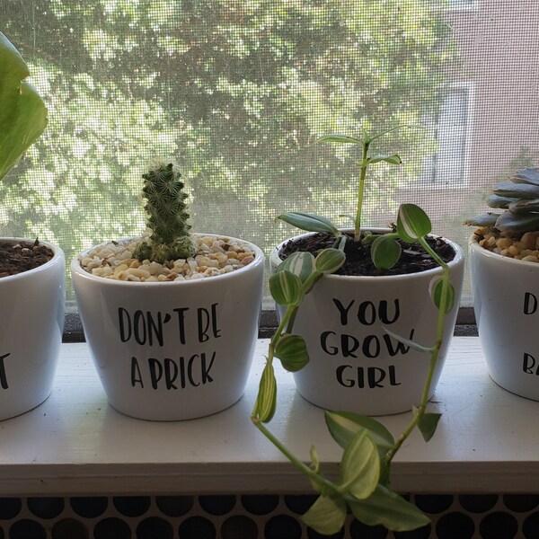 Set of 4 - Punny Plant Pots | Succulent Pots | Plants NOT Included ...