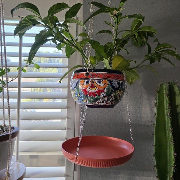 9-10” Hanging Plant Drainage | Eco-friendly Catch Trays With Chain | No ...