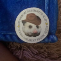 Ozark Quotes, Ozark Magnet, Ozark Sticker, Ruth Langmore, Marty Byrde ...