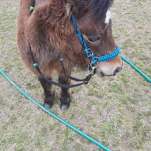 Pony tack set miniature horse tack pony pony tack pony | Etsy