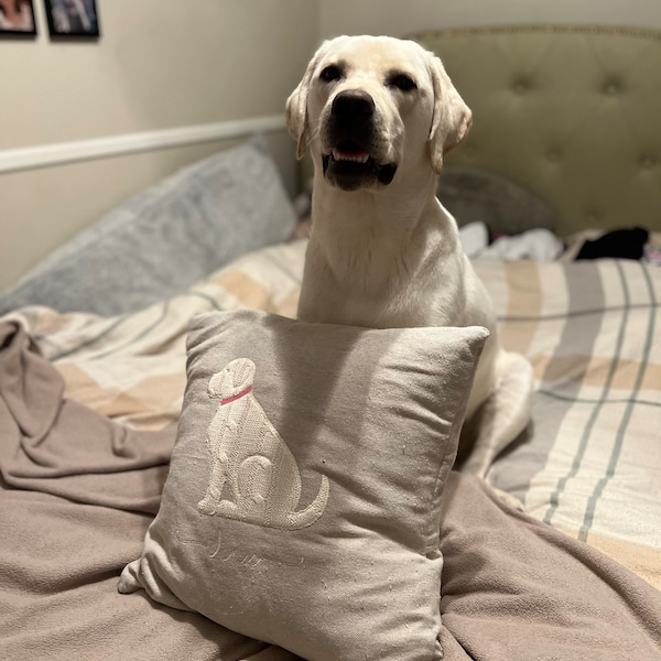 Custom Pet Pillow, Yellow Lab Pillow, Gift for Pet Lover, Custom Dog ...