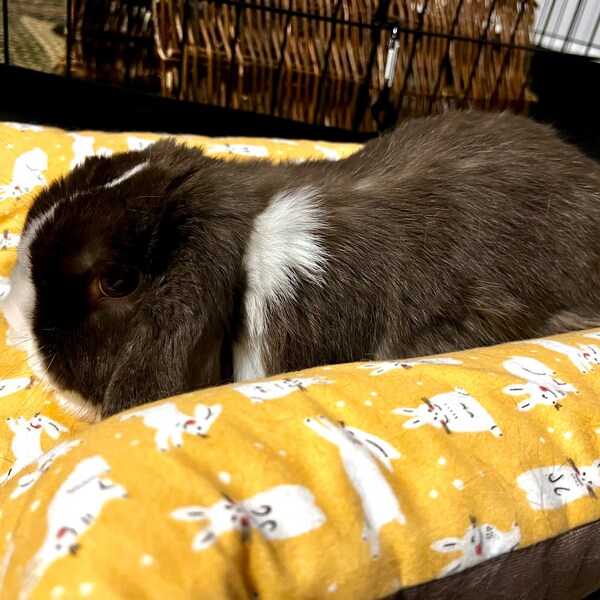 Seagrass Mat Replacements for Enrichmat™ | Snuffle Mat | Foraging ...