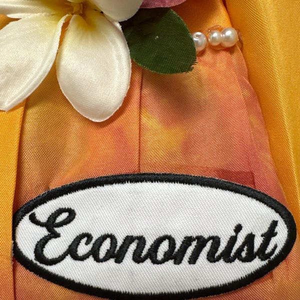 Custom Vintage Style Name Tag-choice of Color / Iron On, Hook Fastener ...