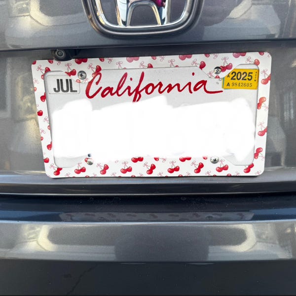 Stained Glass Poppies License Plate Frame, Flower Vanity Tag Holder ...