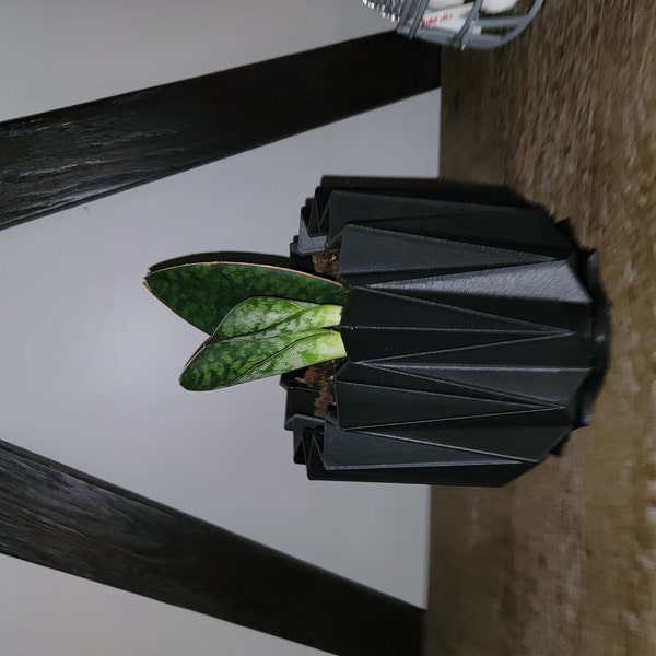 The Estrella Planter - Drainage Hole and Tray - Modern Indoor Plant Pot ...