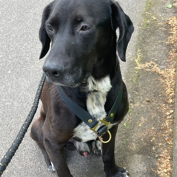 BIOTHANE DOG HARNESS, Large Breeds Training Harness, Biothane Beta ...