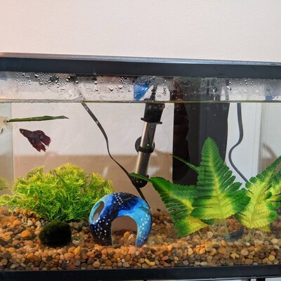 Fancy Tank Decor MADE TO ORDER Rainbow Aquarium Decoration Betta Fish ...