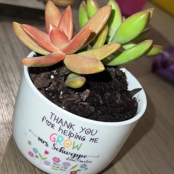 Personalized Teacher Gift Thank You Teacher Ceramic Plant Pot Mini ...
