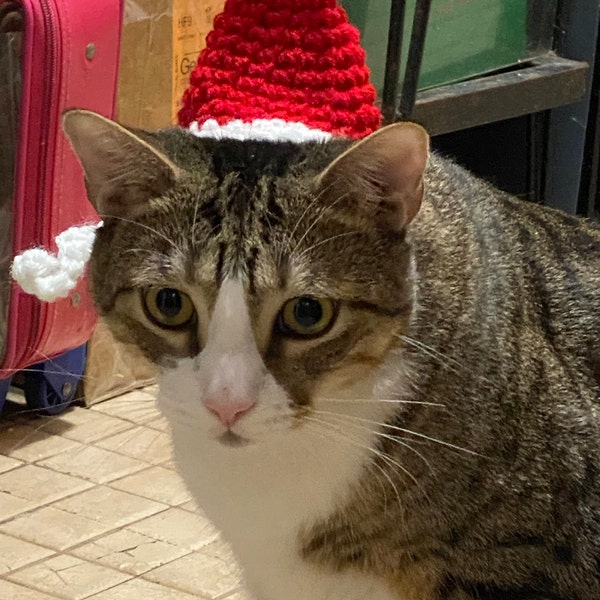 Crochet Santa Suit Cat Sweater- Ugly Sweater for Cats- Holiday Cat ...