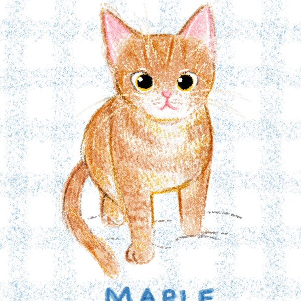 Custom Badly Drawn Pet Portrait, Personalized Cat Portrait, Unique Pet ...