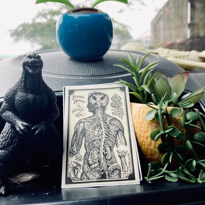 Nervous System Sticker / Medical Sticker / Vinyl Sticker / Vintage ...