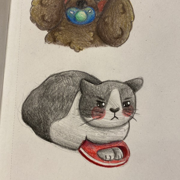 Eco Folder A4, Sustainable Folder, File Folder, Design Folder - Etsy