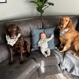 Custom Baby and Dog Matching Outfit Set, Dog and Human Matching Set ...