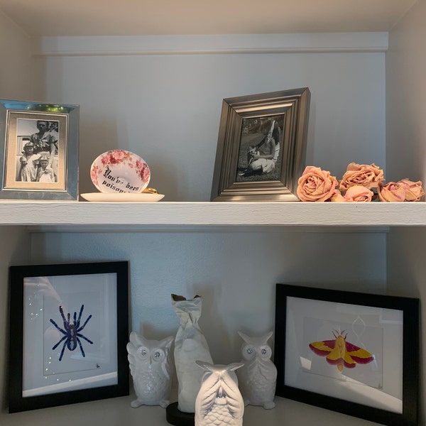 Proboscis Bat Watercolor Painting, Rhynchonycteris Naso Framed Painting ...