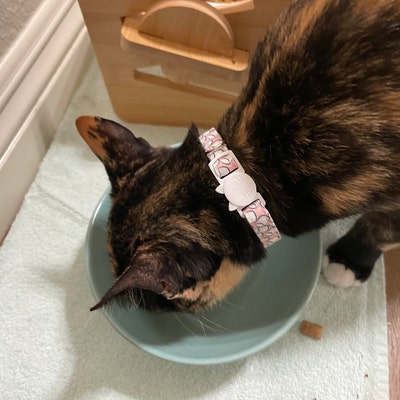 Strawberry Cat Collar Strawberry Kitten Collar Strawberry Collar ...