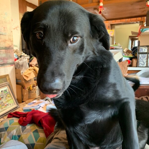 HO Scale Custom Built Cracker Jack Palace Factory Lighted Scratch ...