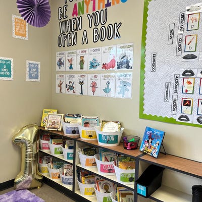 ULTIMATE Classroom Library Printable Book Bin Labels 150 Options ...