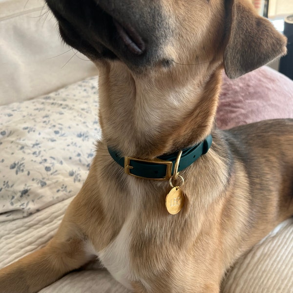 Biothane® Waterproof Rolled Slip Lead - Etsy