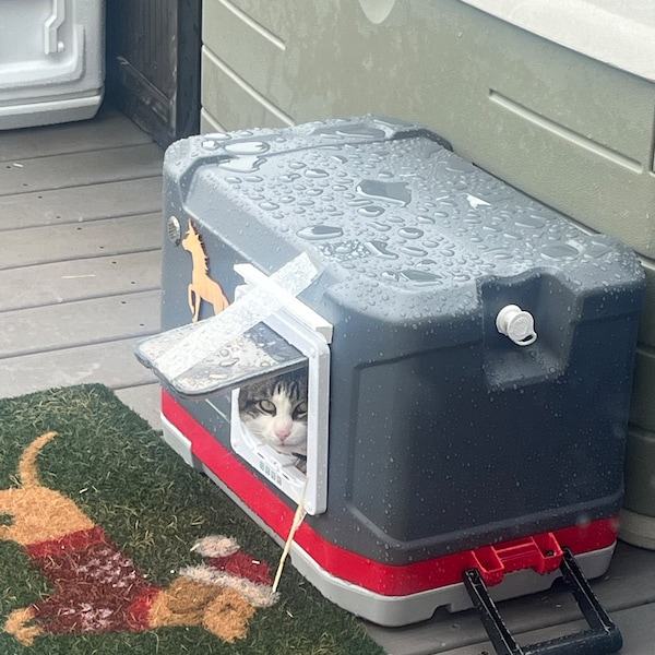 The Best Feral Cat Shelter | Igloo Cat Shelter | Outdoor Cat House for ...