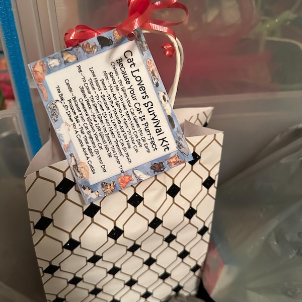 US Air Force Survival Kit ~ Fun Novelty Gift & Card Alternative ...