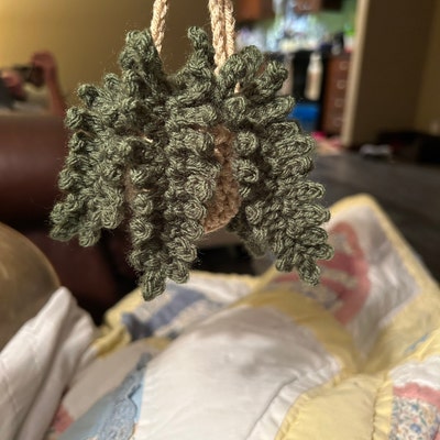 Car Fern Crochet PATTERN by Pamelambie Car Plant - Etsy